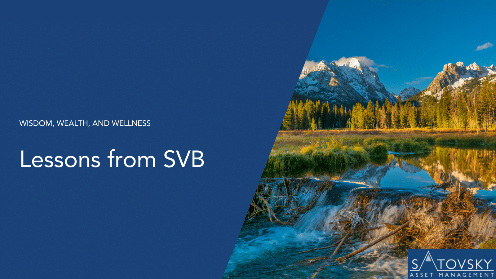 Lessons from SVB | Wisdom, Wealth, and Wellness - Satovsky Asset Management