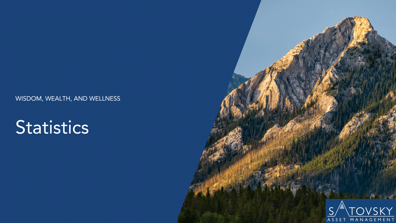 Statistics | Wisdom, Wealth, and Wellness - Satovsky Asset Management