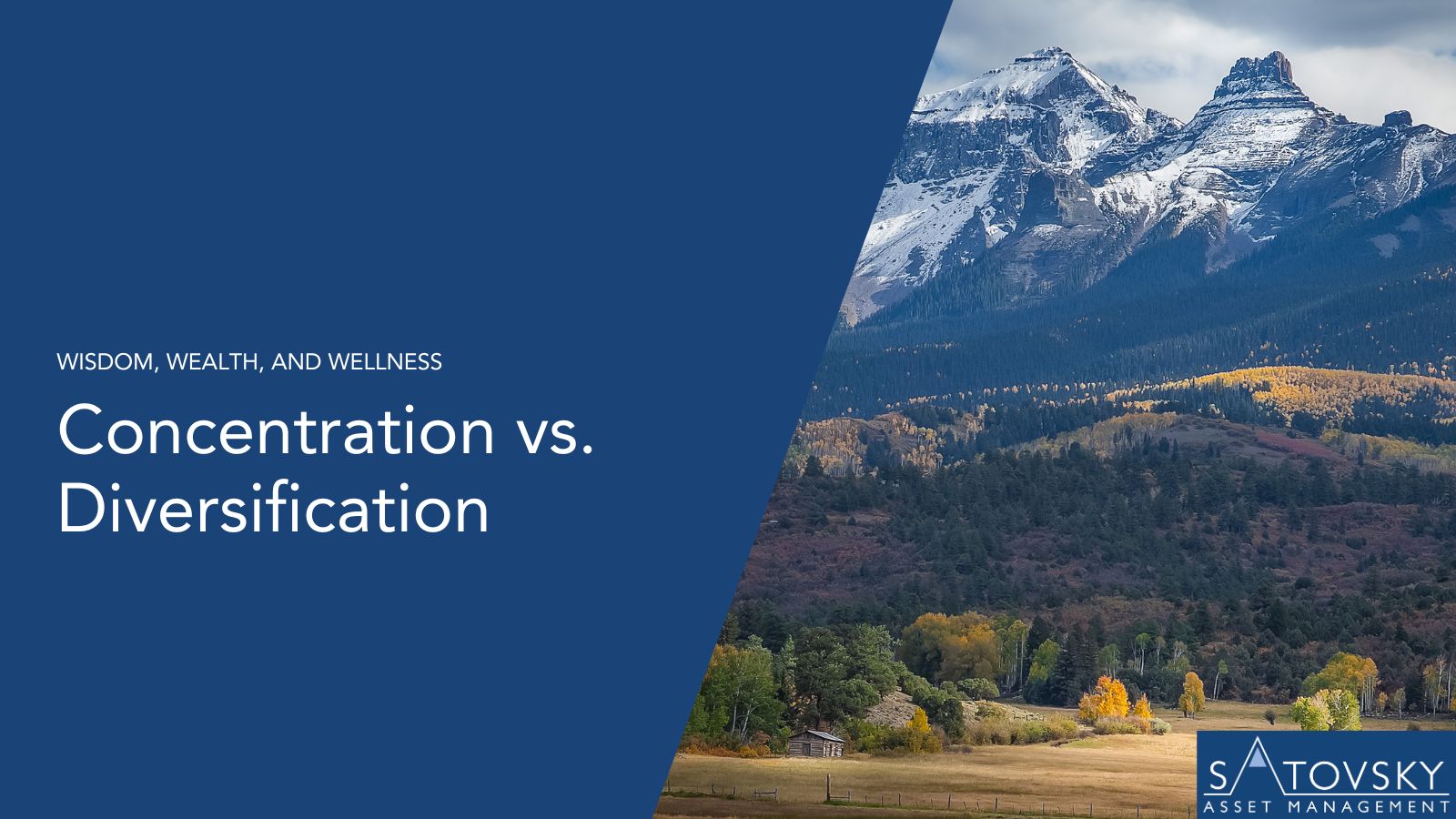 Concentration vs. Diversification | Wisdom, Wealth, and Wellness ...